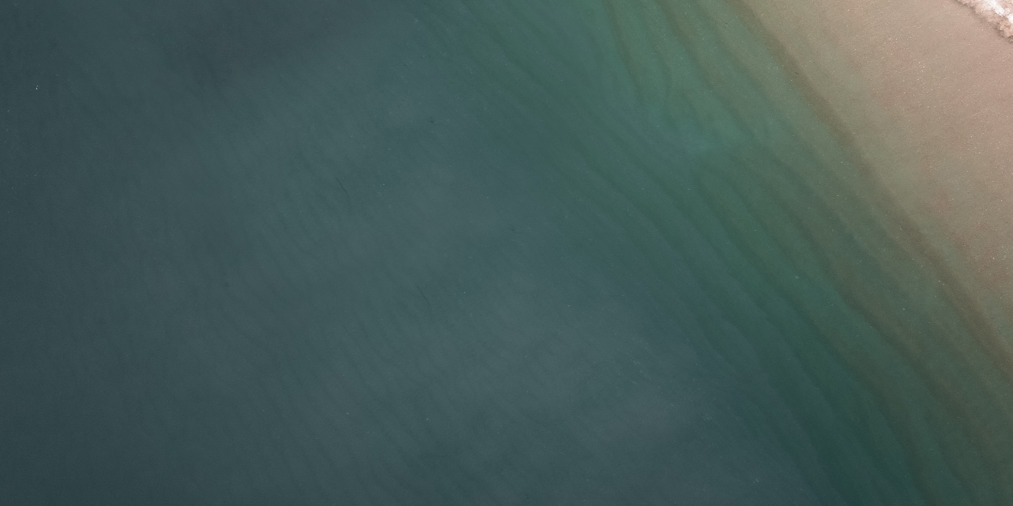 3 Reasons Why Avid Cruisers Make Exceptional Travel Agents | Join Avoya ...