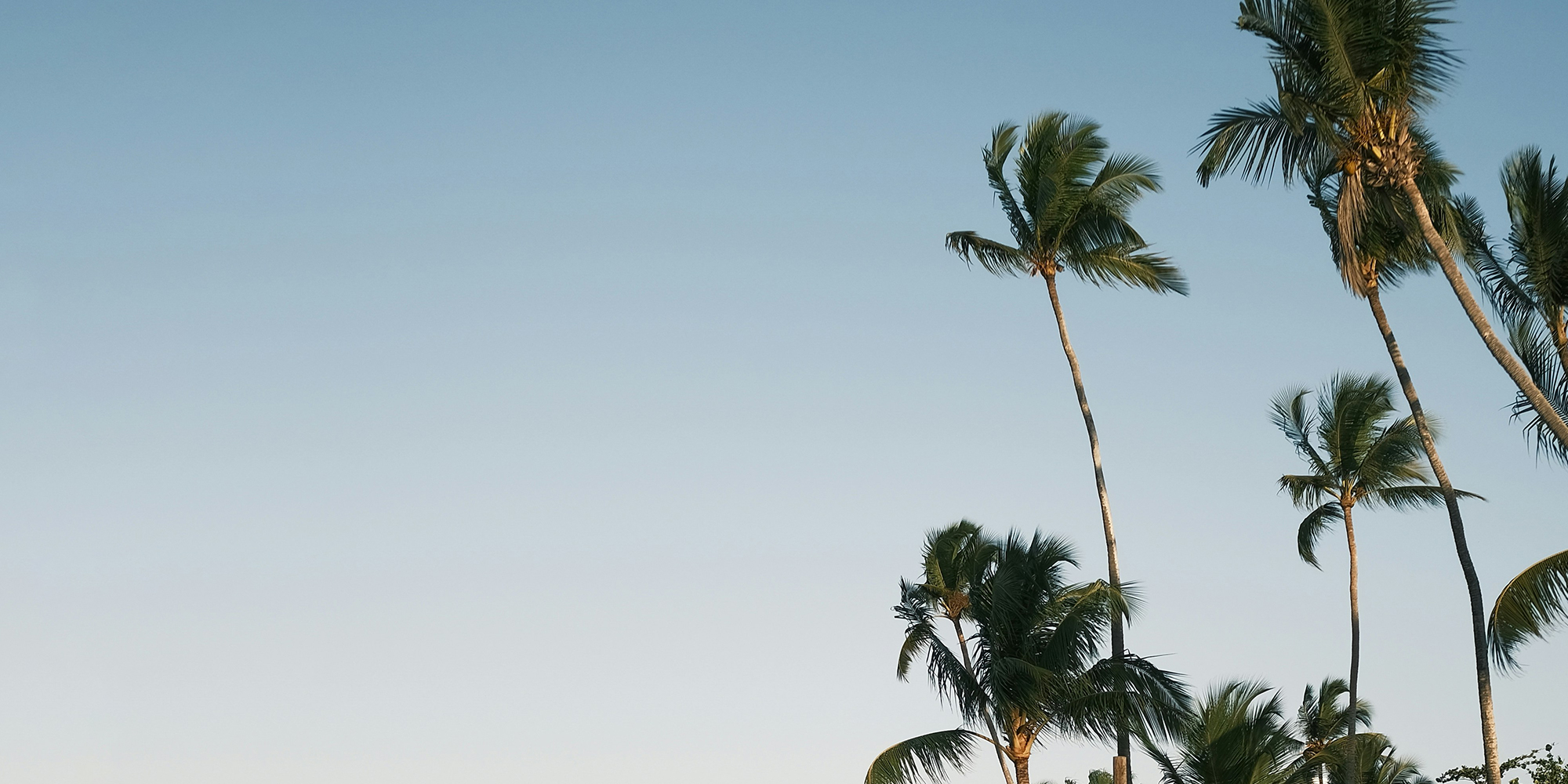 A New Chapter for Avoya Travel: Honoring the Past, Embracing the Future ...