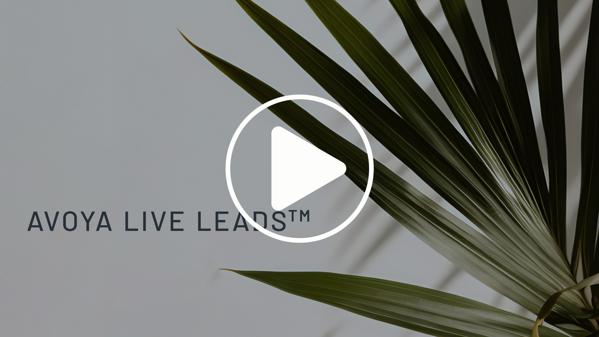 Live Leads | Join Avoya Network™