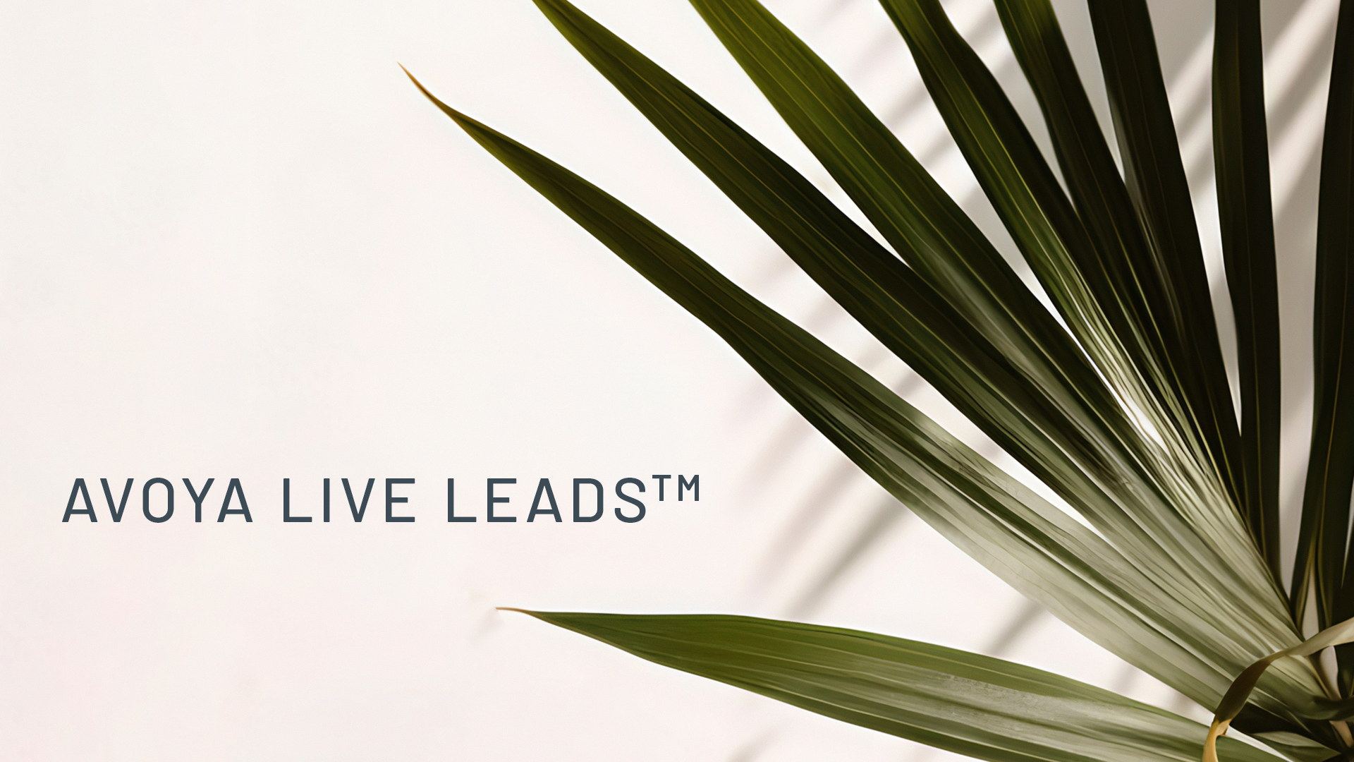 Newsroom | Join Avoya Network™