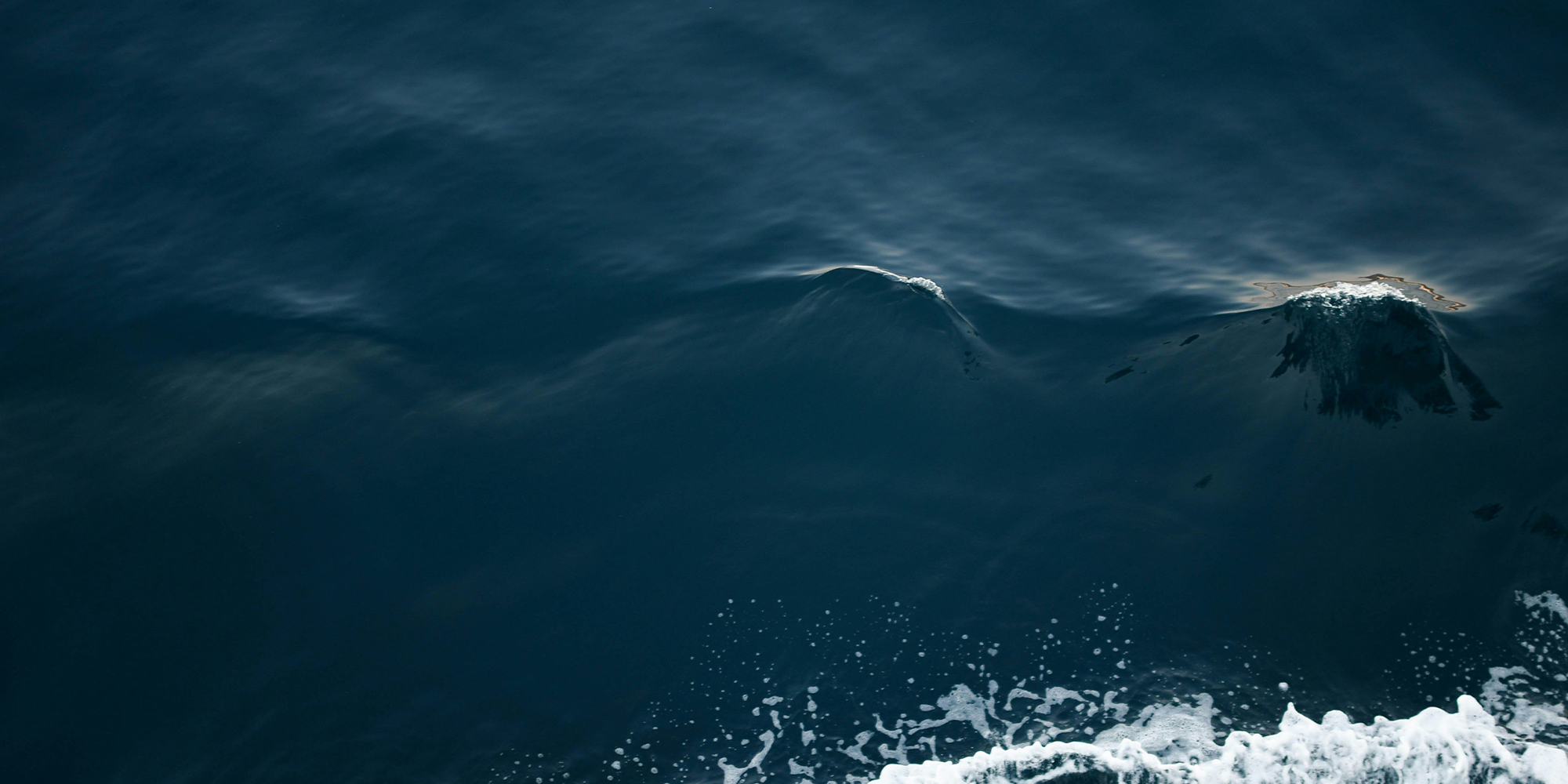 New To Travel | Join Avoya Network™