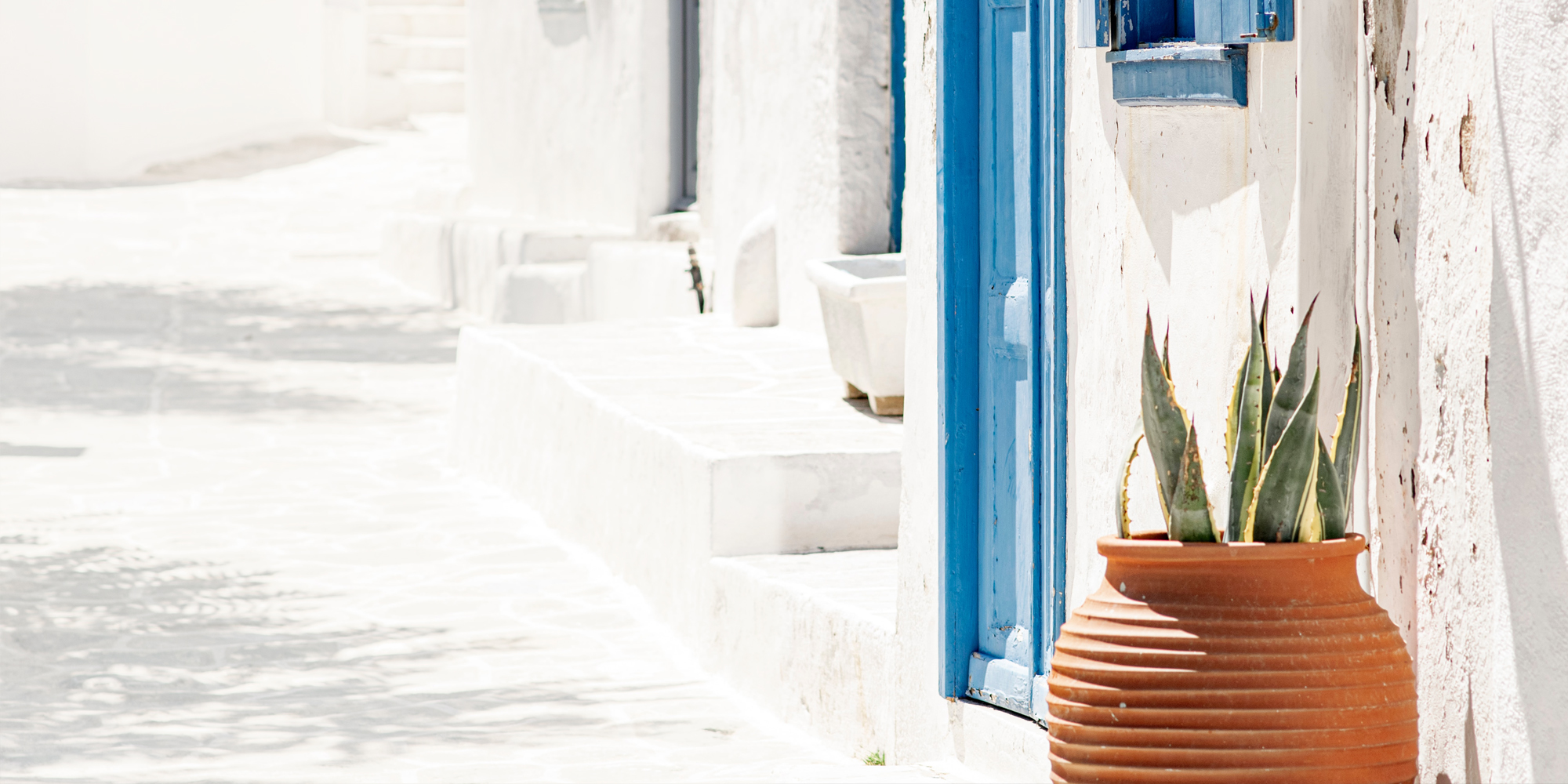 Newsroom | Join Avoya Network™