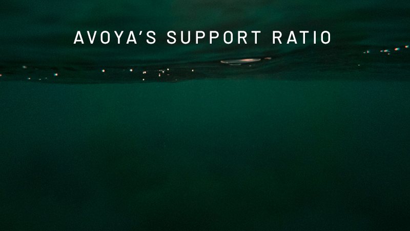 Agency Support | Join Avoya Network™