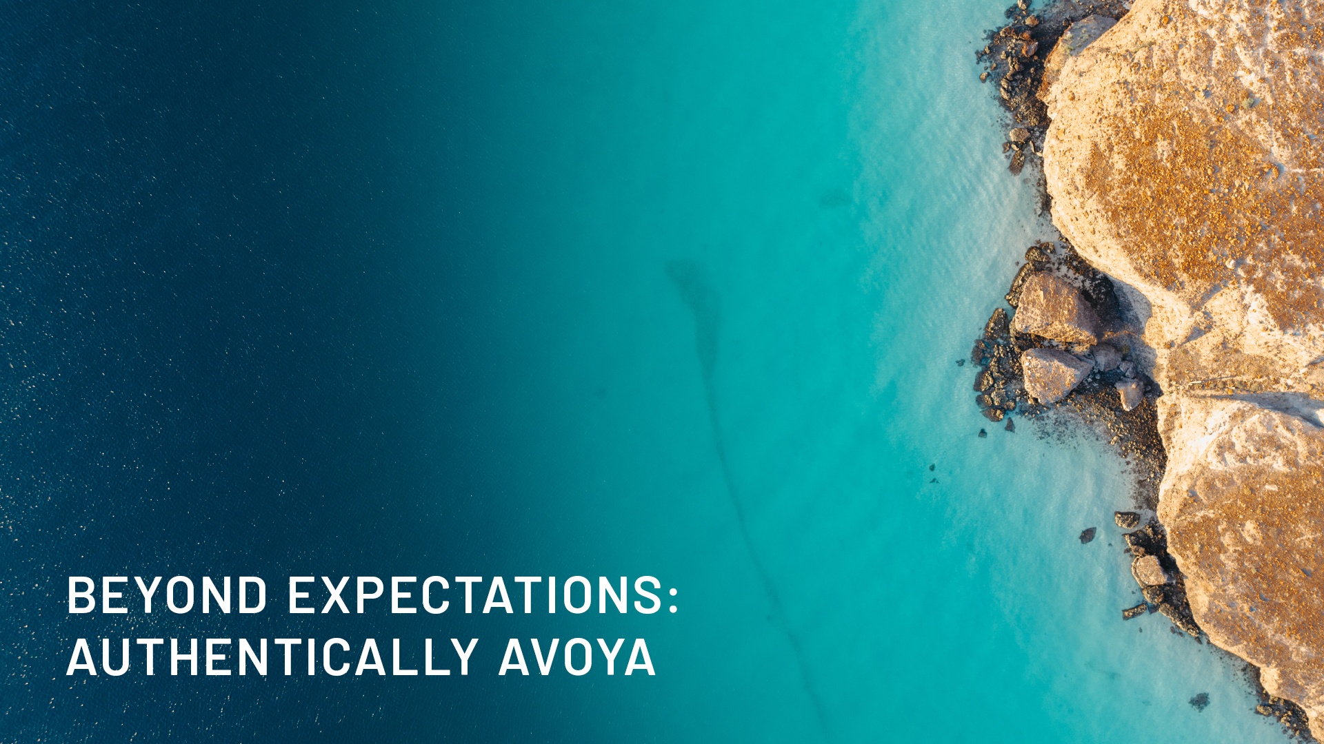 Newsroom | Join Avoya Network™