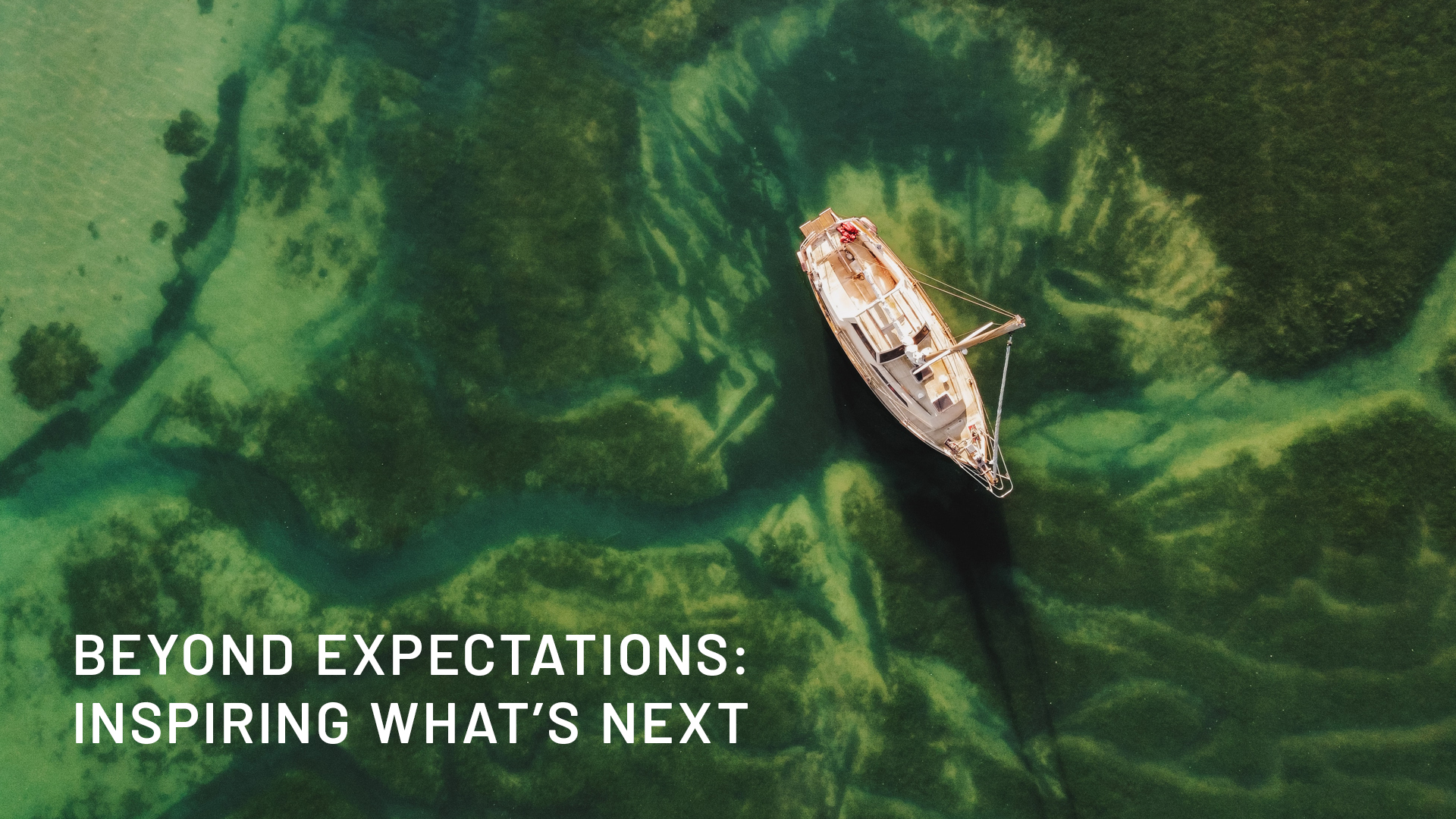 Newsroom | Join Avoya Network™