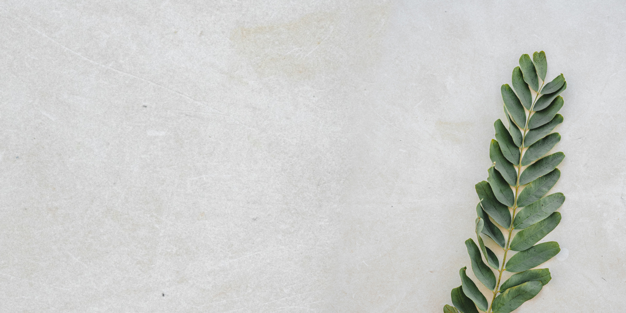 Meet the Team | Join Avoya Network™