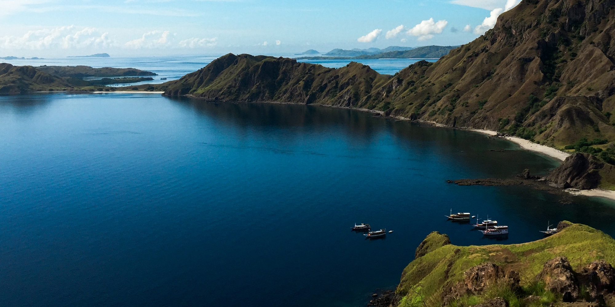 Our Company | Join Avoya Network™